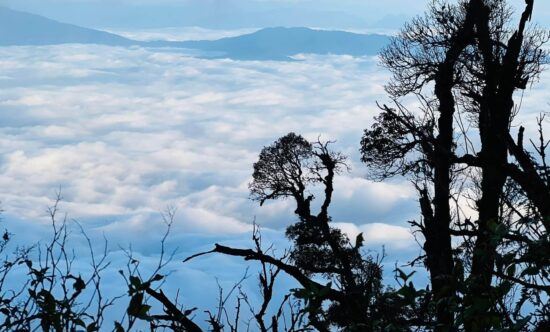 Top The Most Breathtaking Cloud-Hunting Spots in Lao Cai - Sapa